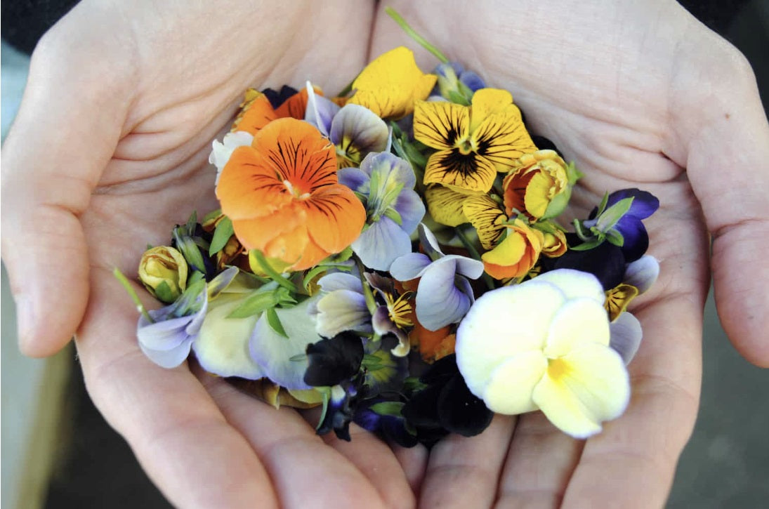 Edible Flowers Collection – Bae Greens